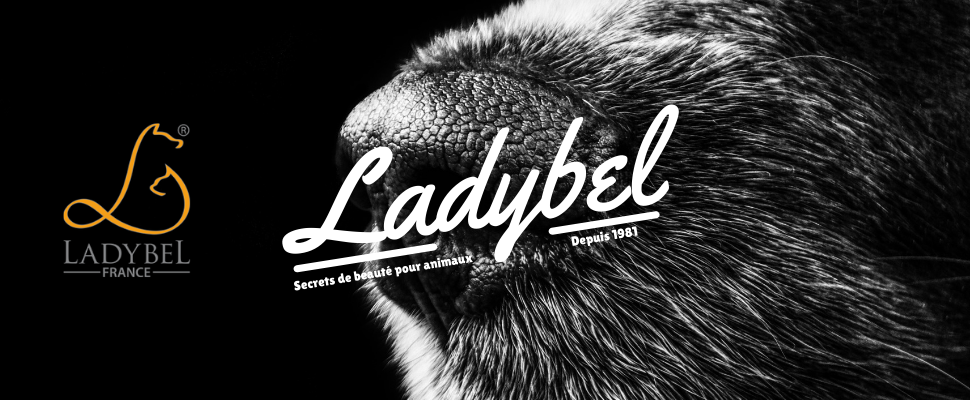 Ladybel - Toilettage Chien, Chat et NAC - Marque Française - Ladybel